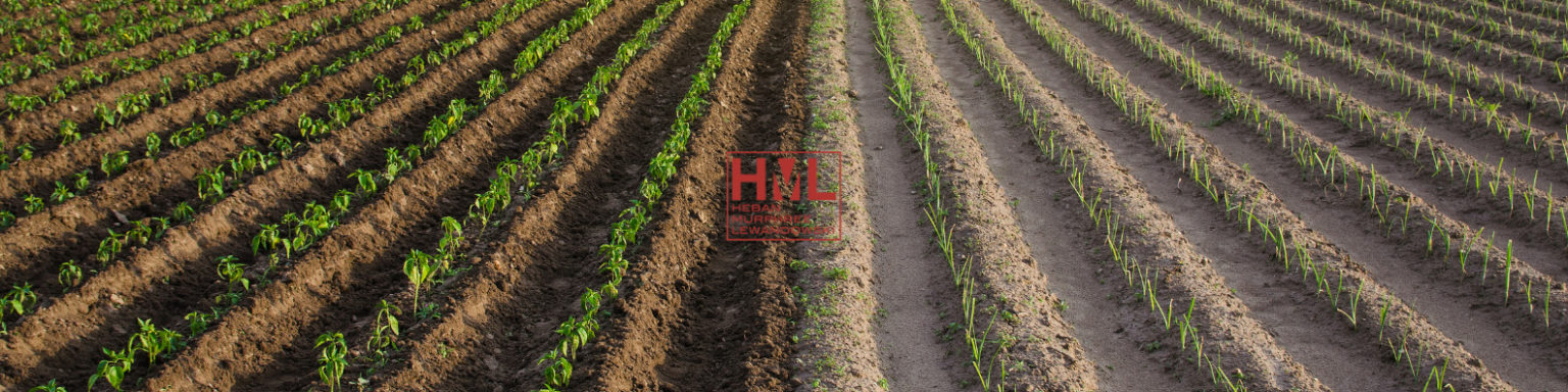 Farm Land Dispute Legal Guide | HML Law